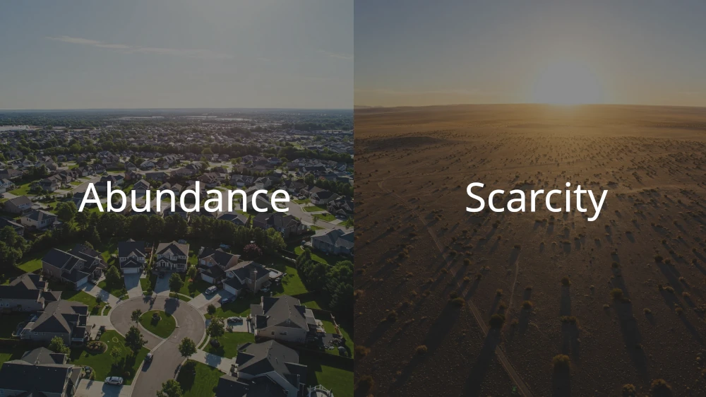Abundance vs Scarcity